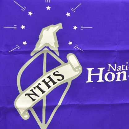 Nths Vector Logo